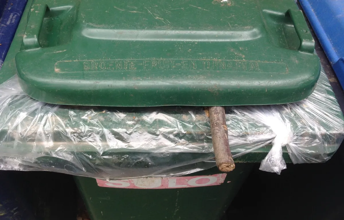 Gft-afval in de zomer