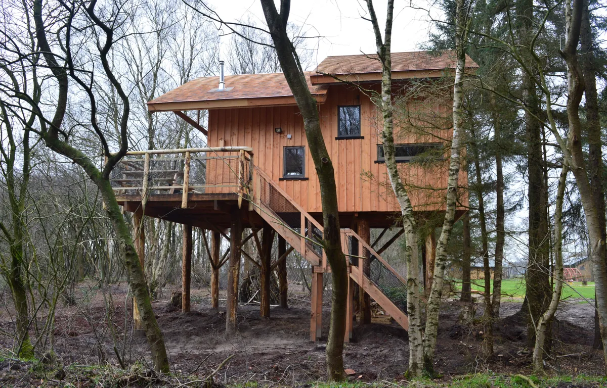 d'Olde kamp in Ansen gaat grote boomhut bouwen