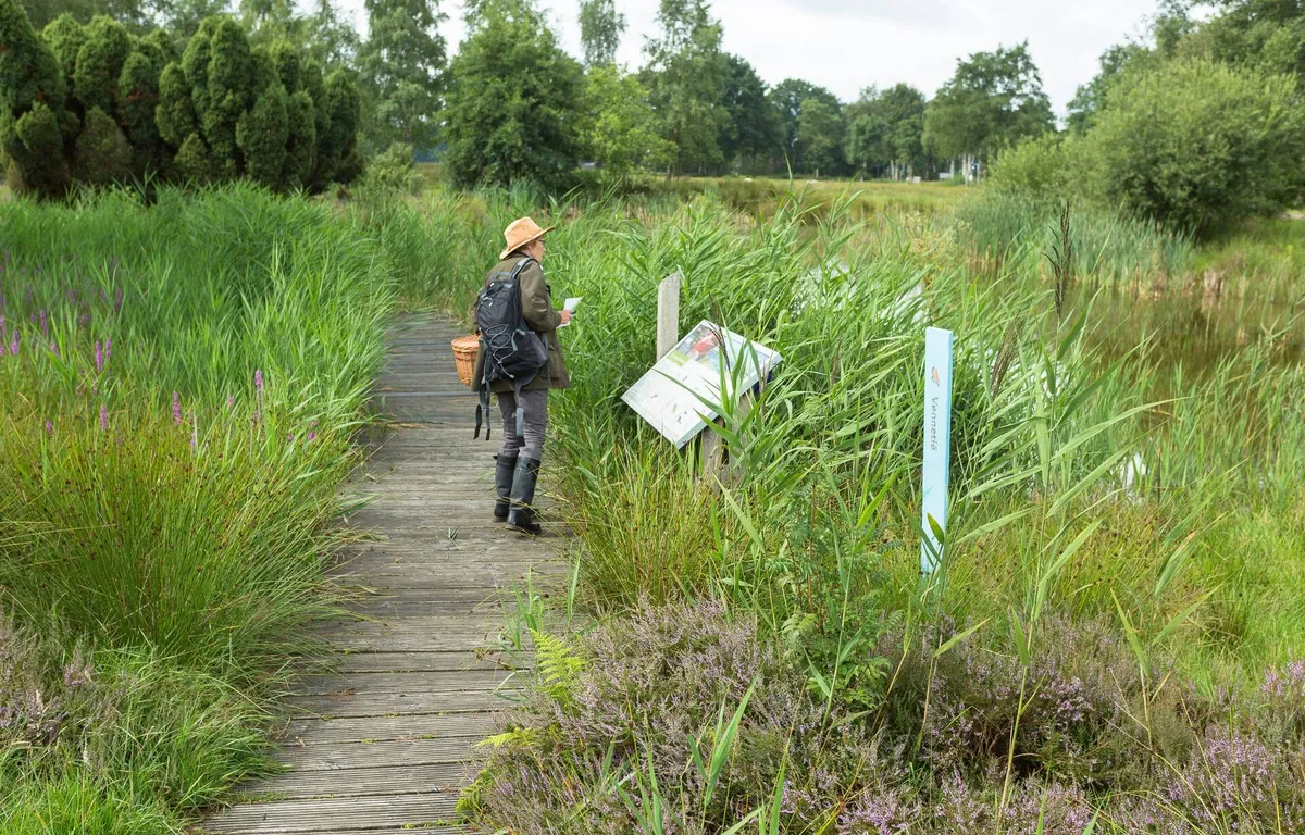 Broeihopen maken voor ringslangen tijdens Natuurwerkdag Dwingelderveld