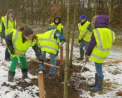 Leerlingen basisschool De Westerkim planten bomen