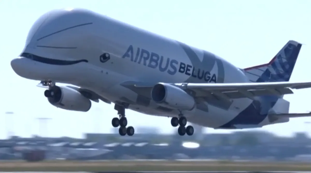 Airbus presenteert BelugaXL die eruit ziet als een witte dolfijn
