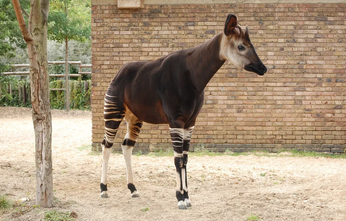 Goedemorgen, het is vandaag woensdag 18 oktober