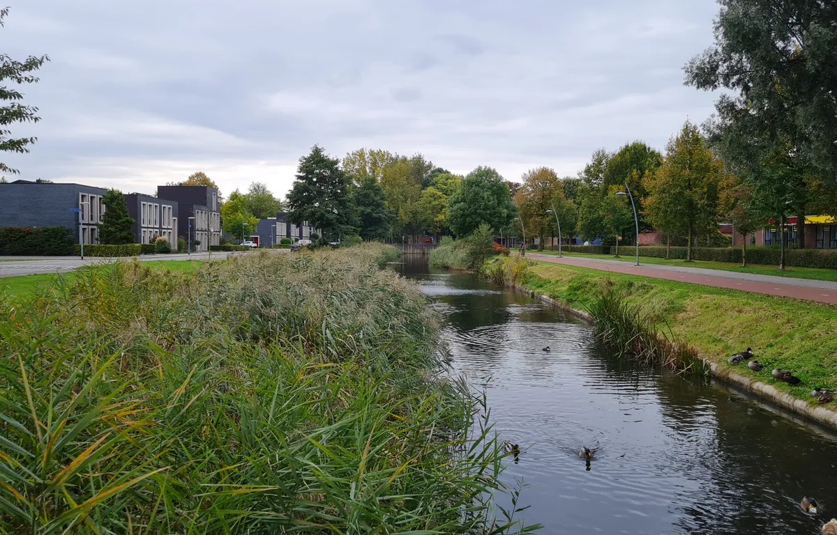 Werkzaamheden rondom vijver Loefzijde en bij Swoaistee