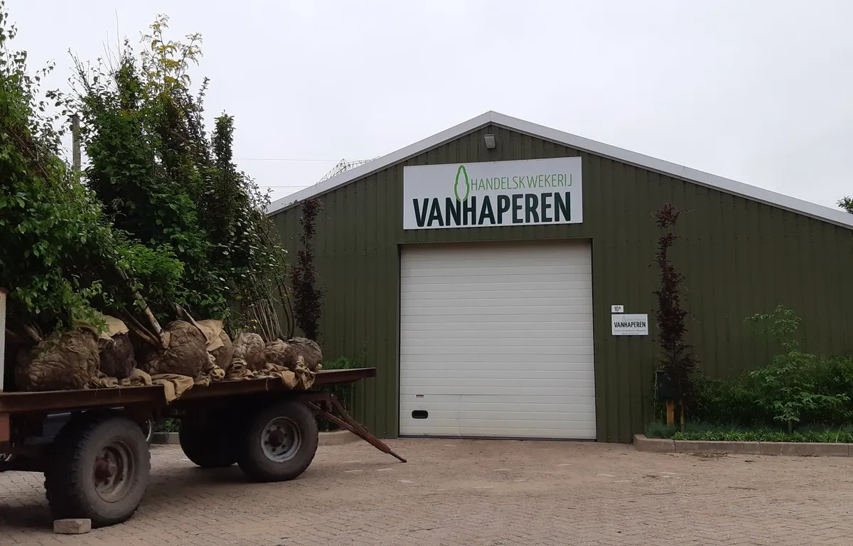 Tijd voor het najaar: Verrijk de tuin met groen en kom langs bij ...