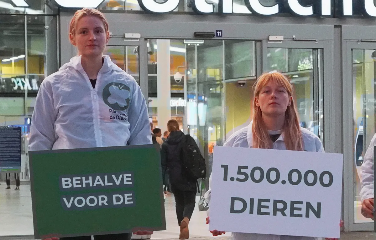 Op Dierendag aandacht voor 1,5 miljoen geslachte dieren