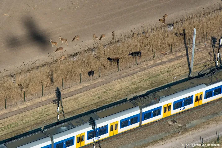 Negentien dagen weinig tot geen treinverkeer op Flevolijn