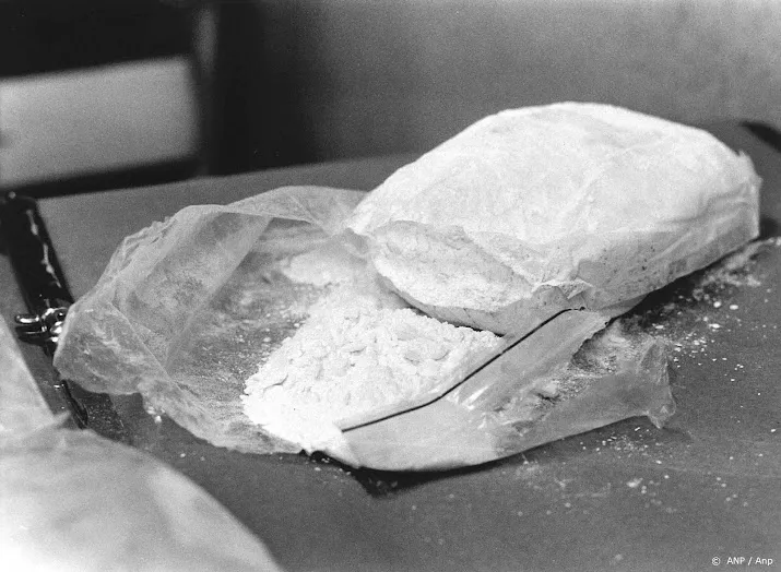 Uithalers ruim 900 kilo coke in Rotterdam nog drie maanden vast