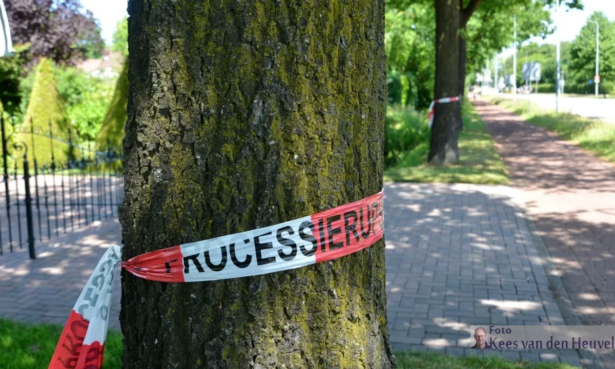 Bestrijding eikenprocessierups