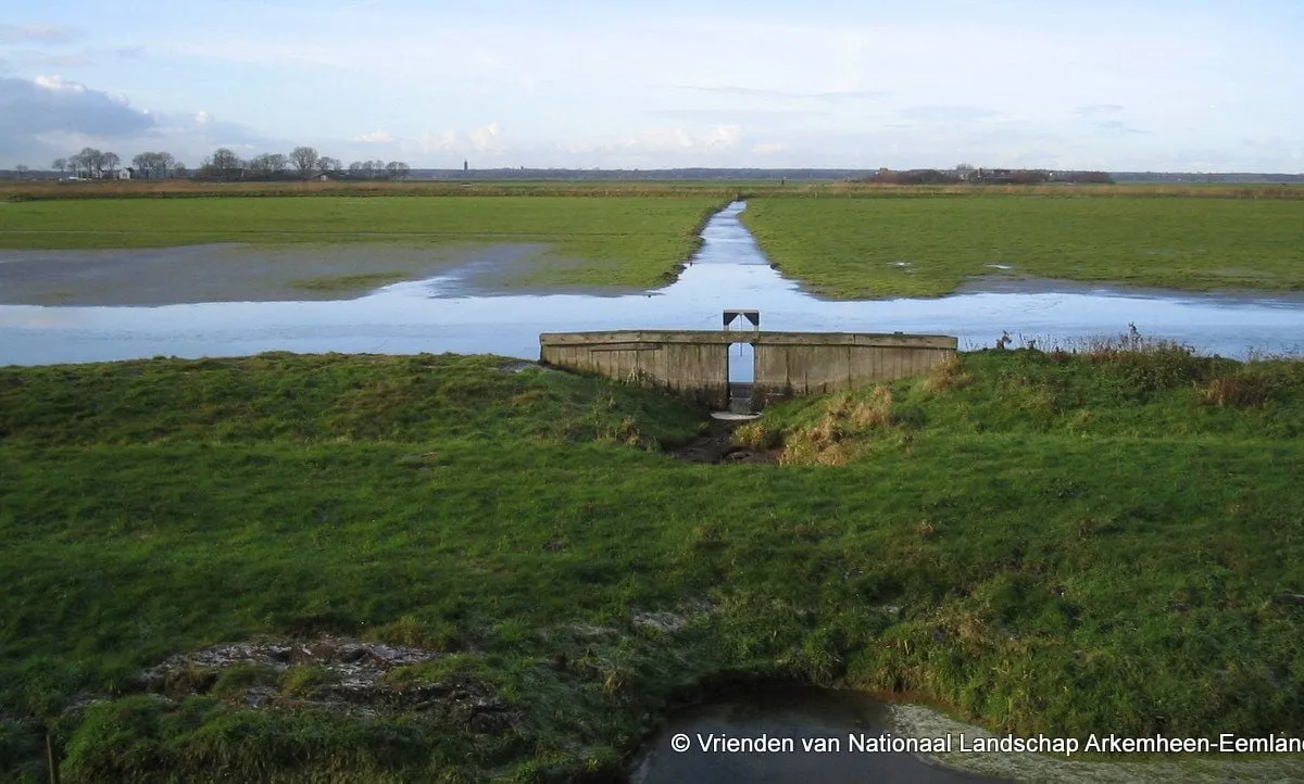 Geld voor het "Hoofd boven water"