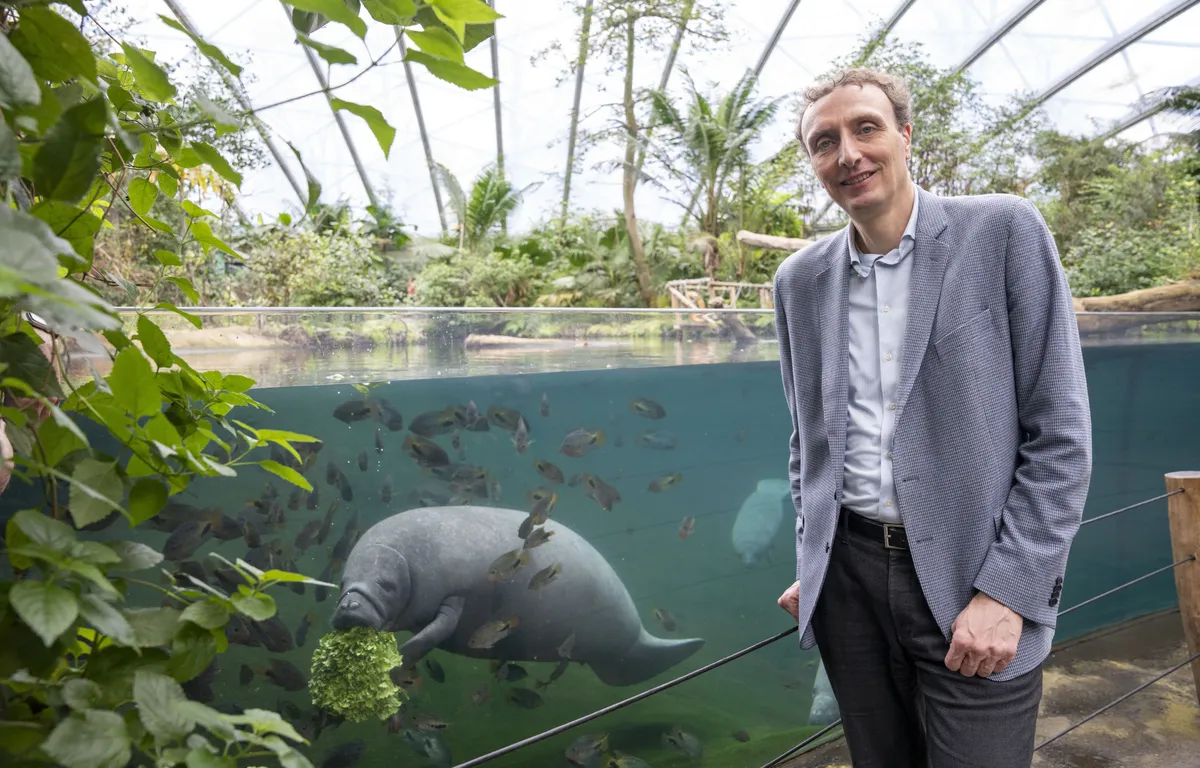 Burgers' Zoo benut overvloedige neerslag voor beregenen tropisch regenwoud