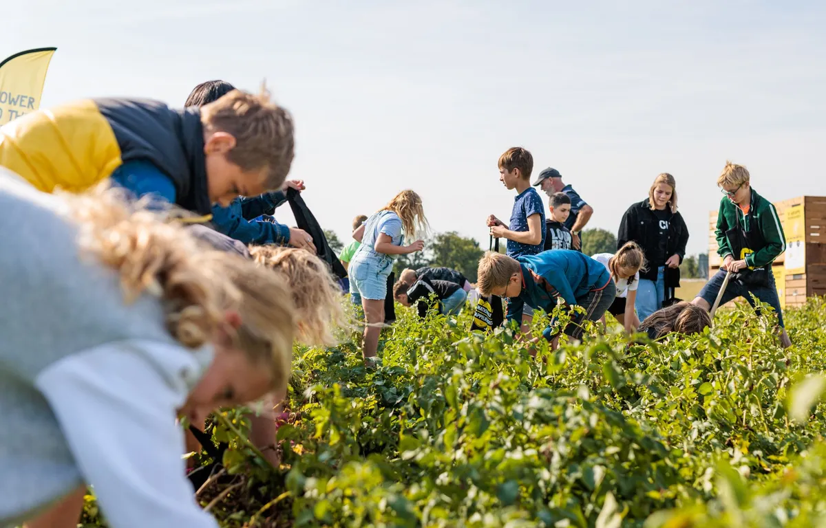 Rooi aardappels voor jezelf én voor de Voedselbank op Nationale ...
