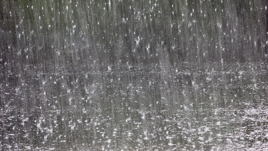 Weerbericht: lichte regen en milde temperaturen in Nunspeet