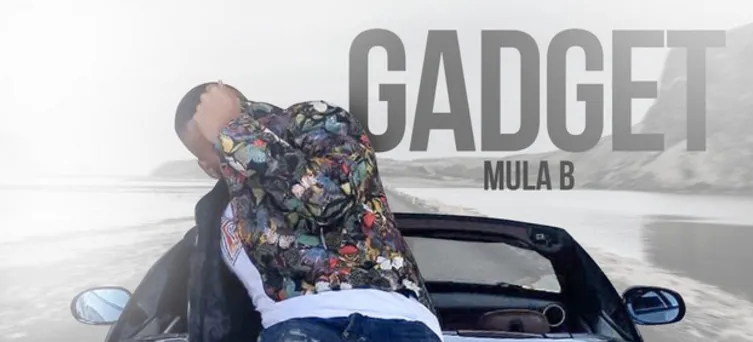 Mula B - Gadget