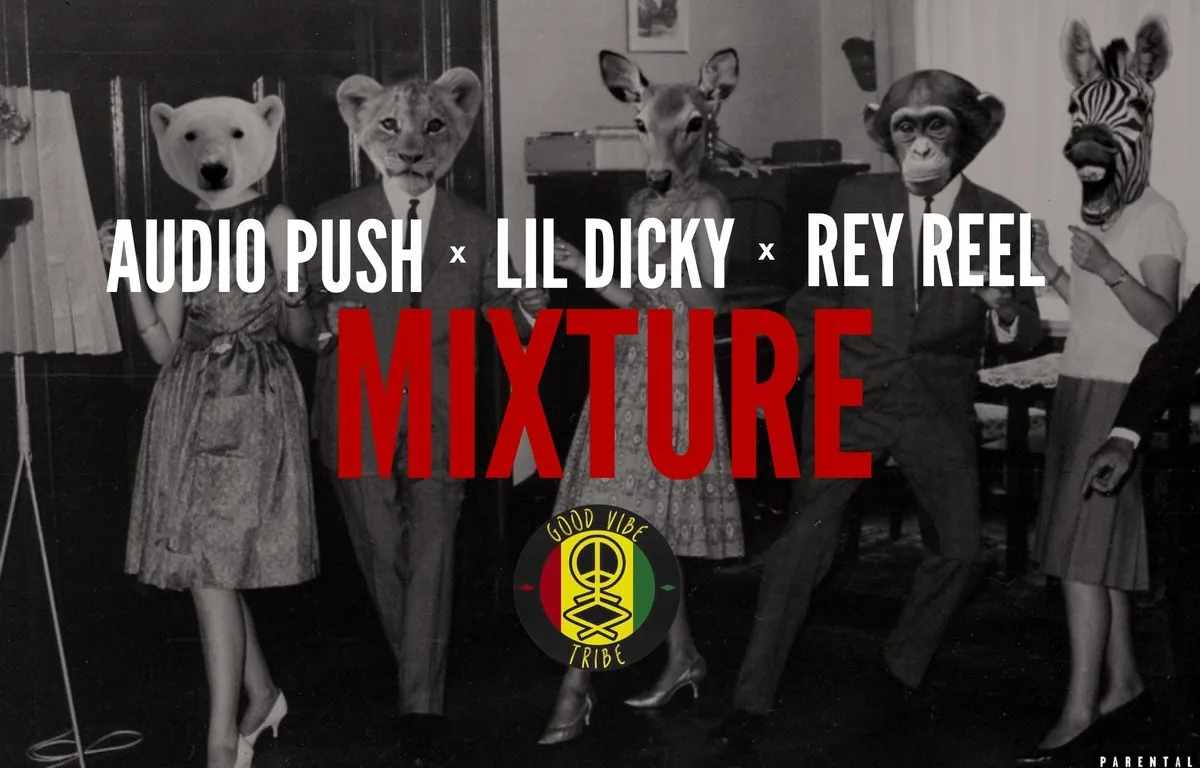 Audio Push brengt nog een 'throwaway' track uit samen met Lil Dicky en ...