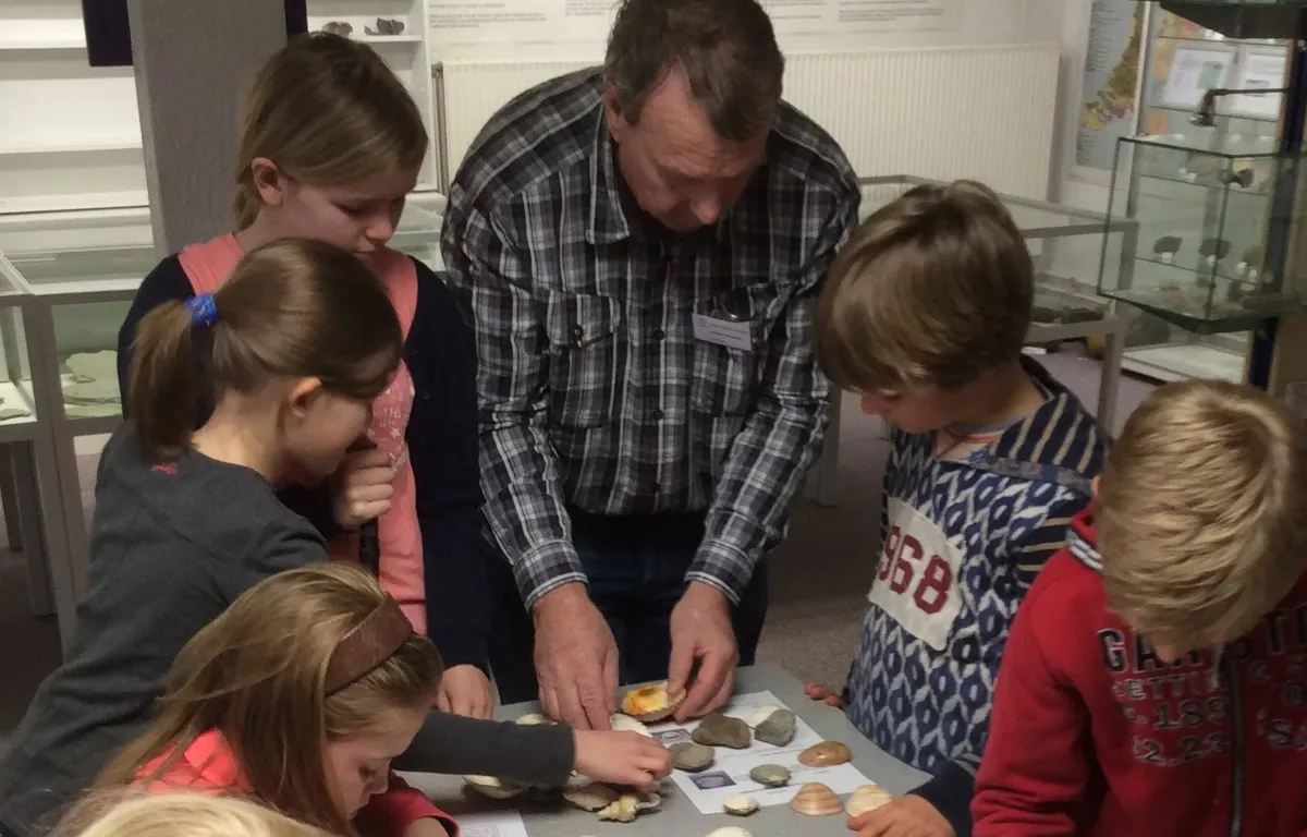 Duik in de wereld van een geoloog bij Het Gelders Geologisch Museum