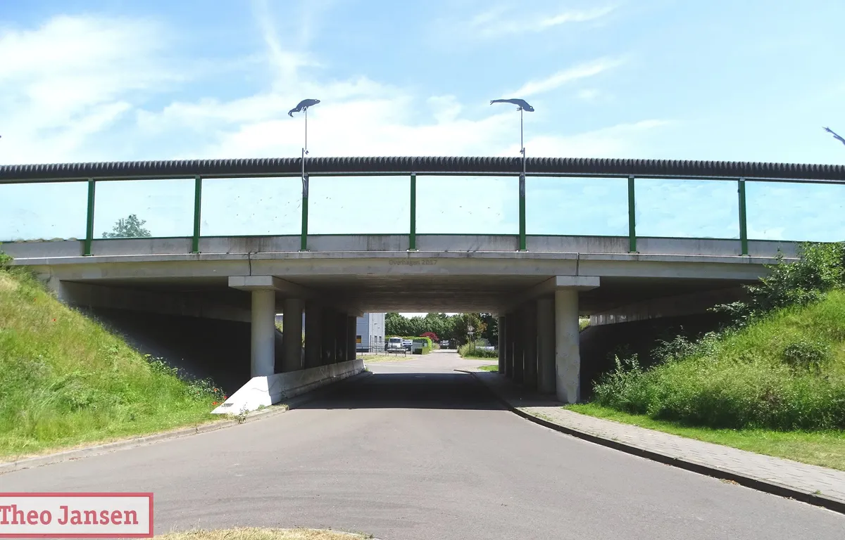 Kikkers springen weer op viaduct A348 in Velp