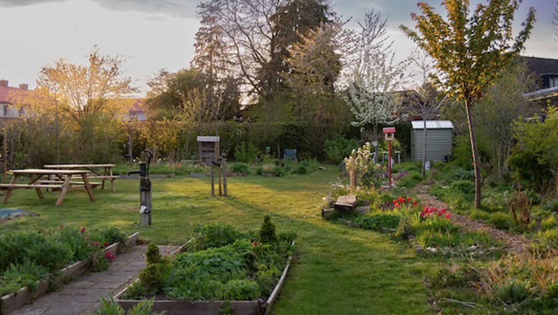 Open-tuin avond bij Dorpstuin Zwarteweg en Klaproostuin in Rheden