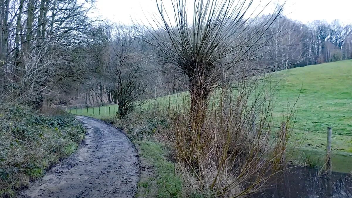 Wijkplatforms sturen brief over Daniken aan gemeente Beekdaelen