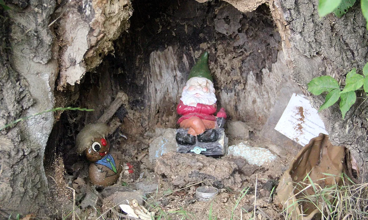 Kabouters gesignaleerd in Sittard