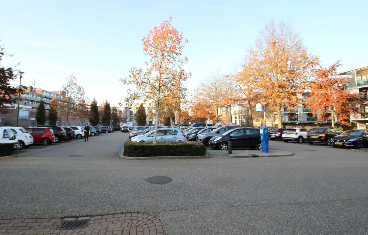 Gratis parkeren in Citycentrum met gebruik blauwe parkeerschijf