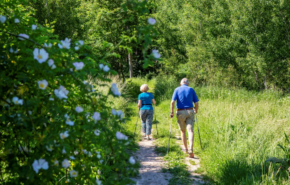 Wetenschappers: zoveel stappen moet je echt zetten per dag