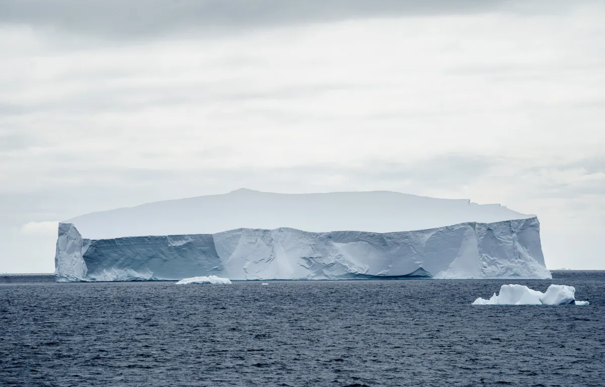 De grootste ijsberg ter wereld is na 37 jaar losgeschoten en drijft nu ...
