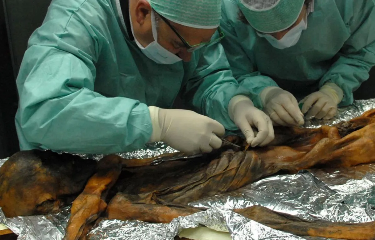 IJsman Ötzi at vlak voor hij stierf vet vlees, graan en varens