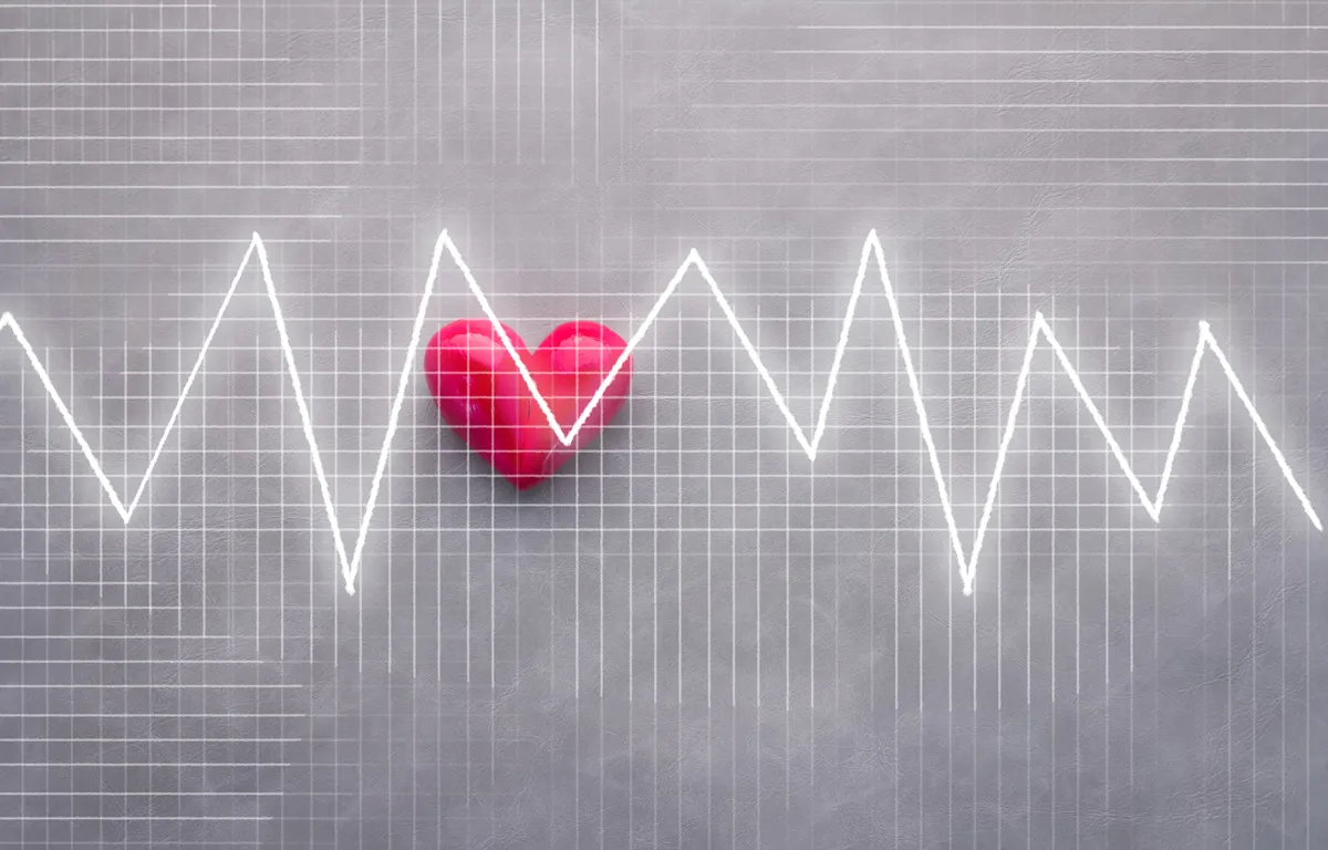 Wat je hartslag je kan vertellen over je conditie en gezondheid