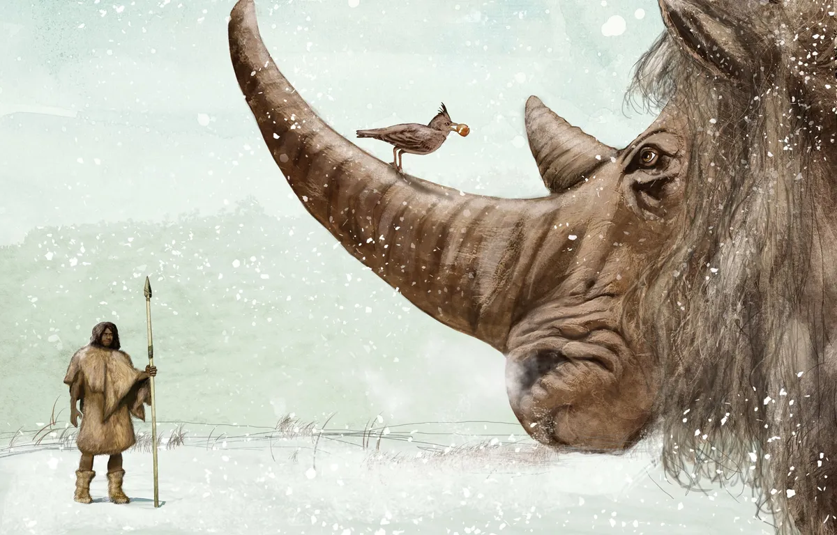 Tentoonstelling over ijstijd in Museum Kasteel Wijchen