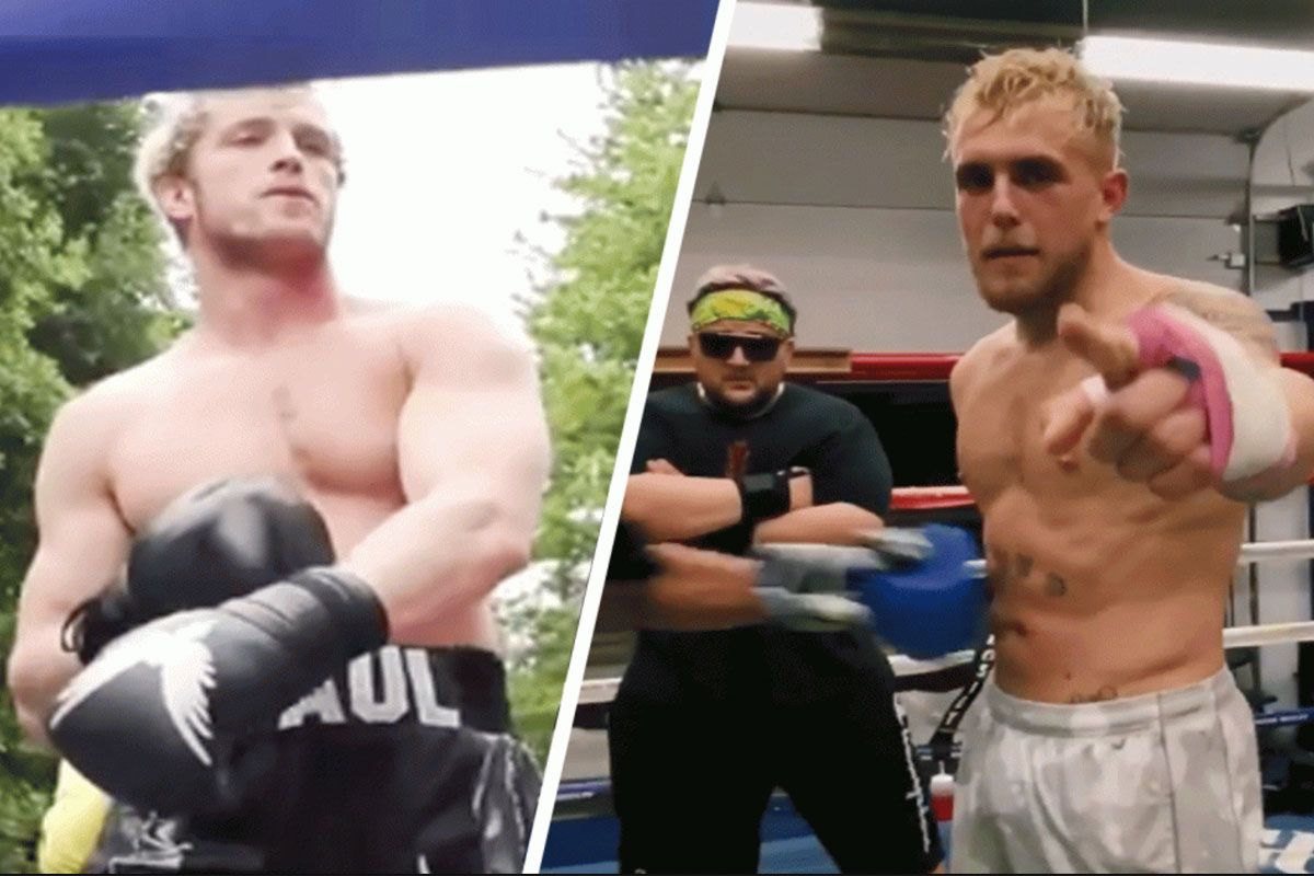Jake Paul en Logan Paul beweren de beste boksers ter wereld te zijn ...