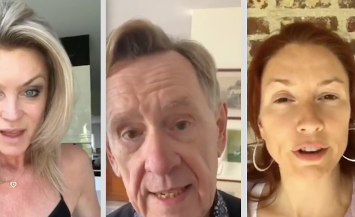 BV's roepen massaal op om katje Lee te redden, maar krijgen nu heel ...