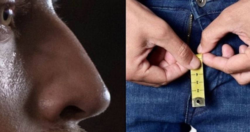 Wetenschappelijk bewezen: mannen met grote neuzen hebben vaak ook de ...