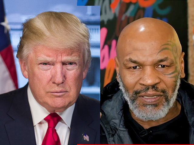 'BLIJF SLAAN MIKE': President Trump steunt comeback Mike Tyson