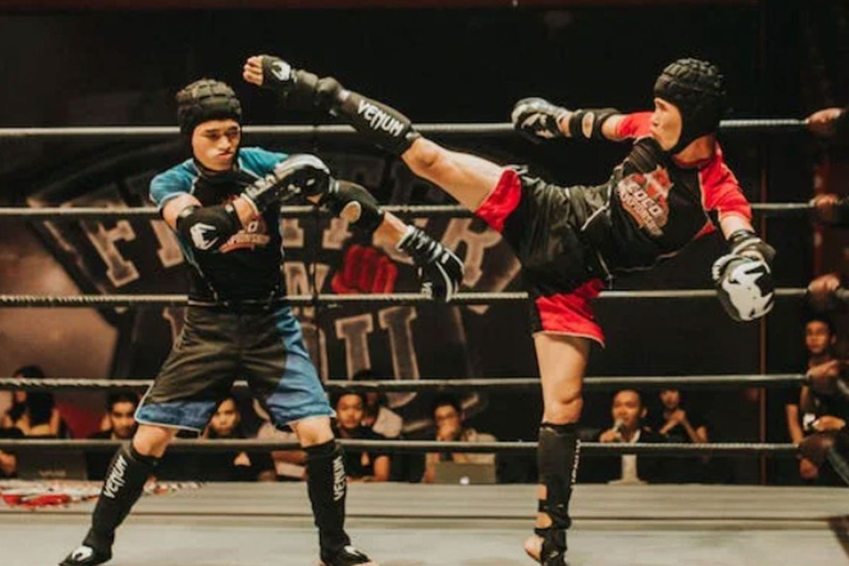 Gokkasten met een vecht-actie thema