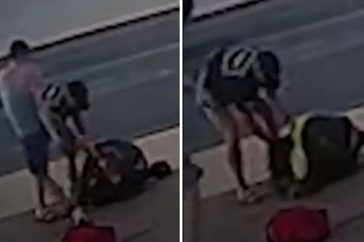 🎥 Dakloze man zwaar mishandeld door MMA-vechter tijdens ...