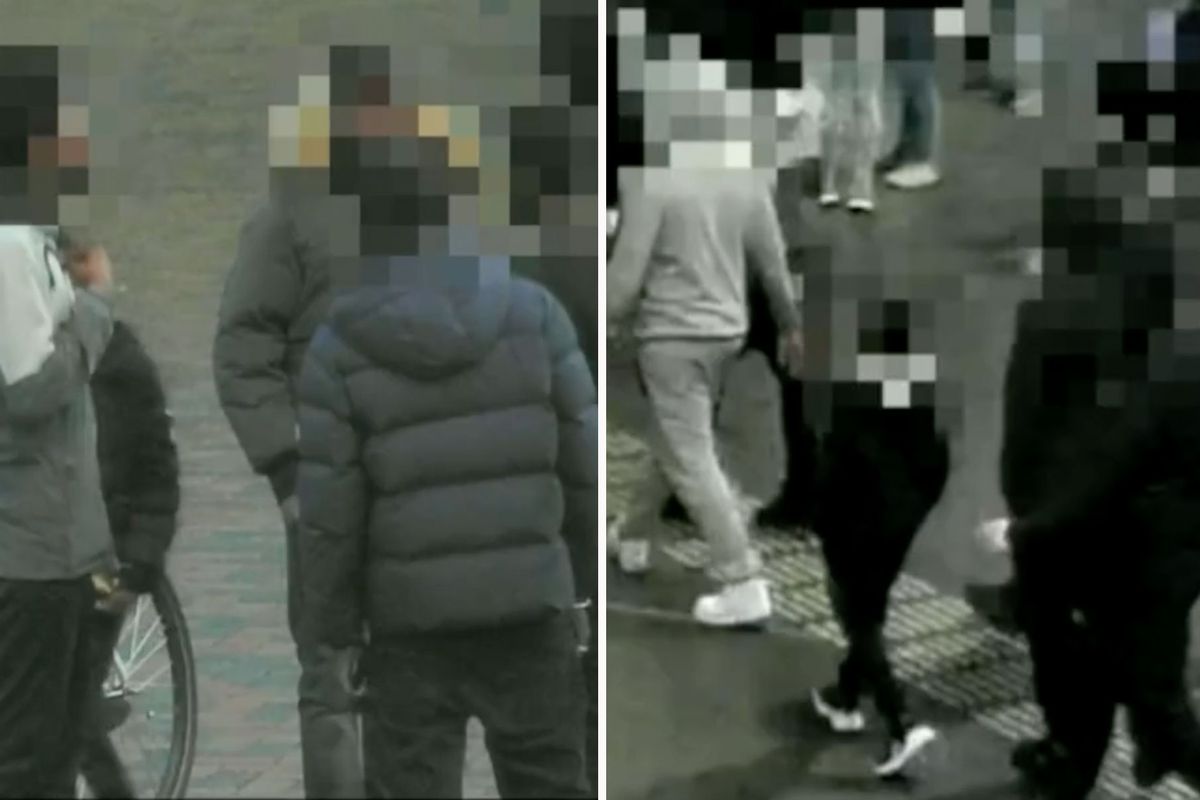 'Gratis Karatelessen!' Walging na poging tot doodslag op jongen in ...