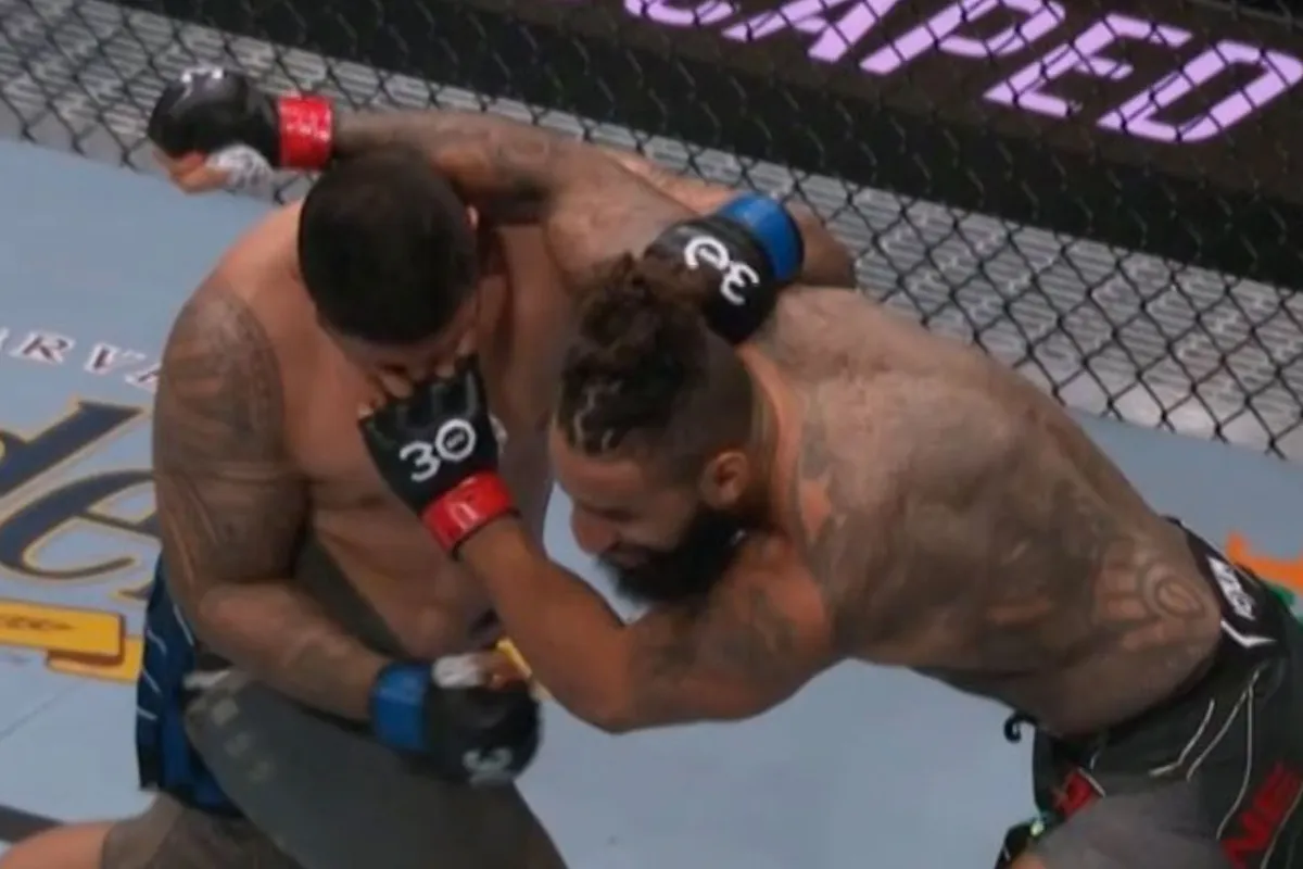 🎥 Gevaarlijk incident maakt abrupt einde aan UFC gevecht Tafa vs Lane ...