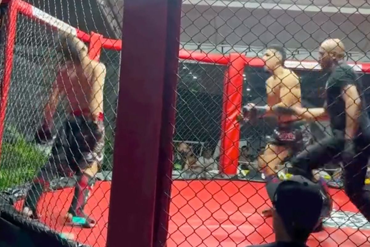 Schokkende knock-out zorgt voor verwarring tijdens MMA-gevecht | video