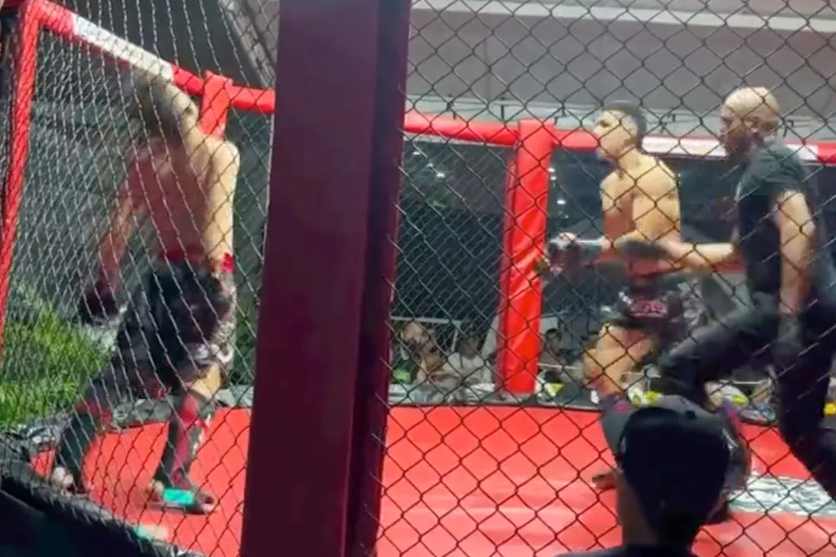 Schokkende knock-out zorgt voor verwarring tijdens MMA-gevecht | video ...