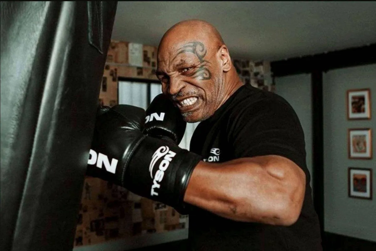 Dit is hoe je traint als vechtmachine Mike Tyson - workout is pure ...