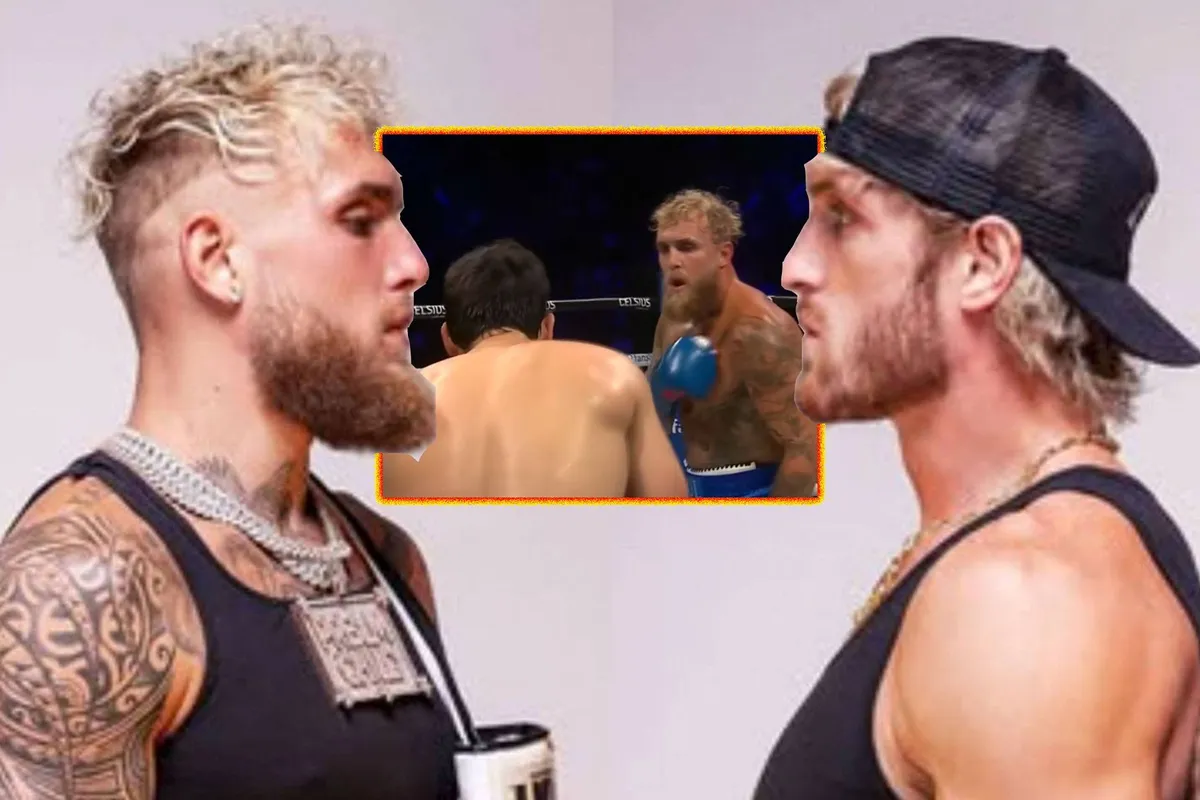 ‘Saai en laf!’ Logan Paul schaamt zich voor broer Jake's boksclash met Chavez Jr | Vechtsport info