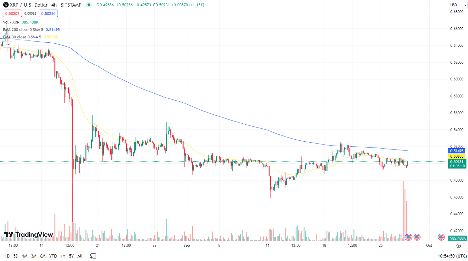Top Analist Over Xrp Koers Kan Ripple 1 Euro Waard Worden In 2024