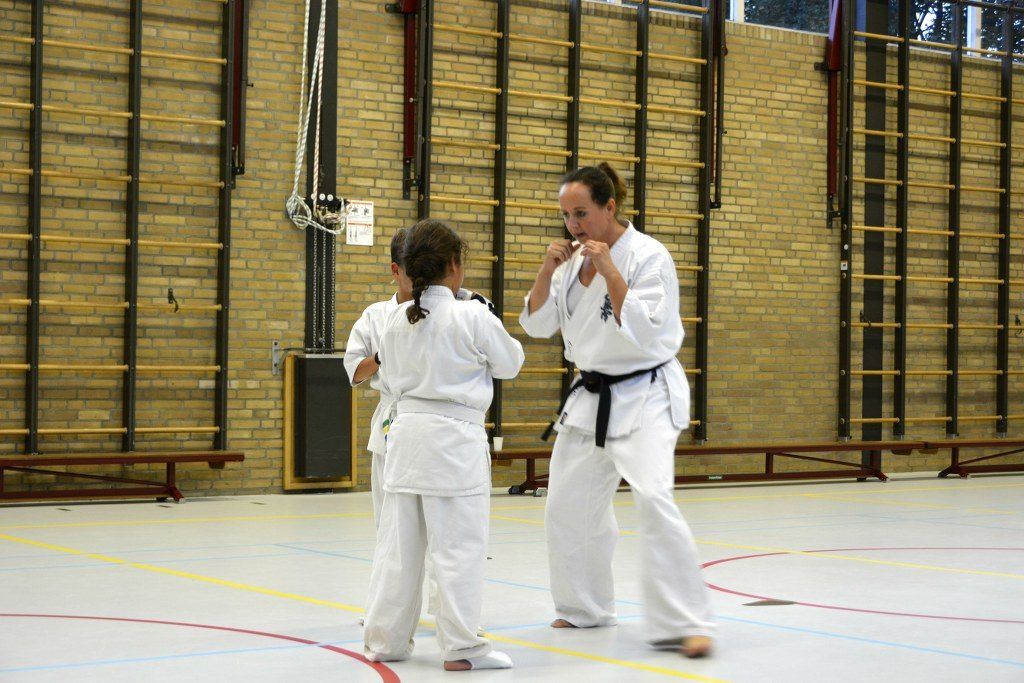 Vechtsport Info trainde mee bij Kyokushinkai Karate Tomoe Dojo ...