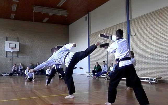 Yun Moo Kwan | Vechtsport info