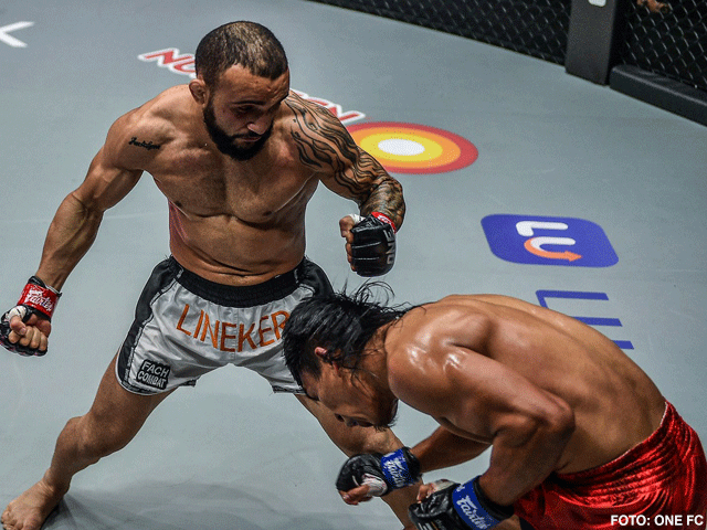 MMA-vechter met stenen stenen vuisten boekt knock-out overwinning ...