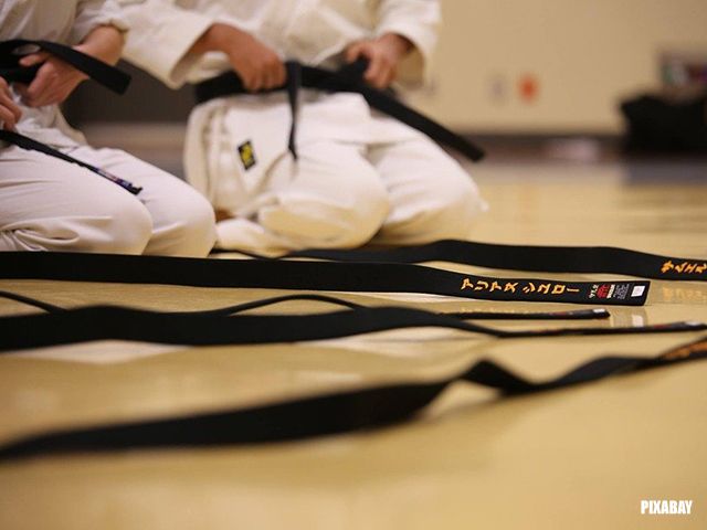 Gebrek aan talent de ondergang van het Nederlandse Karate? | Vechtsport ...