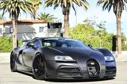 Steiner kent geen enkele twijfel over seizoen Verstappen: 'Die rang is ...