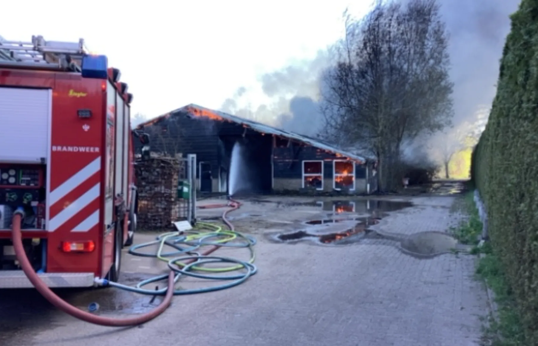 Altena - lokaal nieuws uit je gemeente