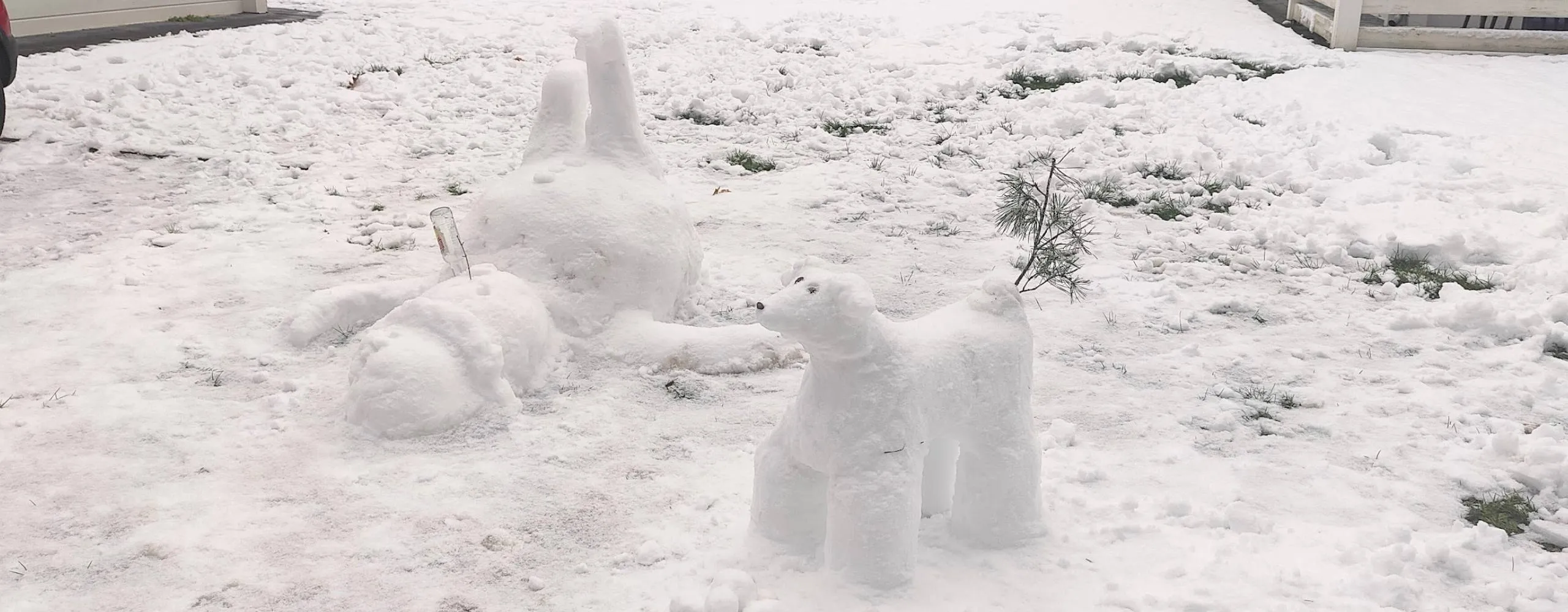 Nederland zoekt massaal naar sneeuw - dit gebeurt er online