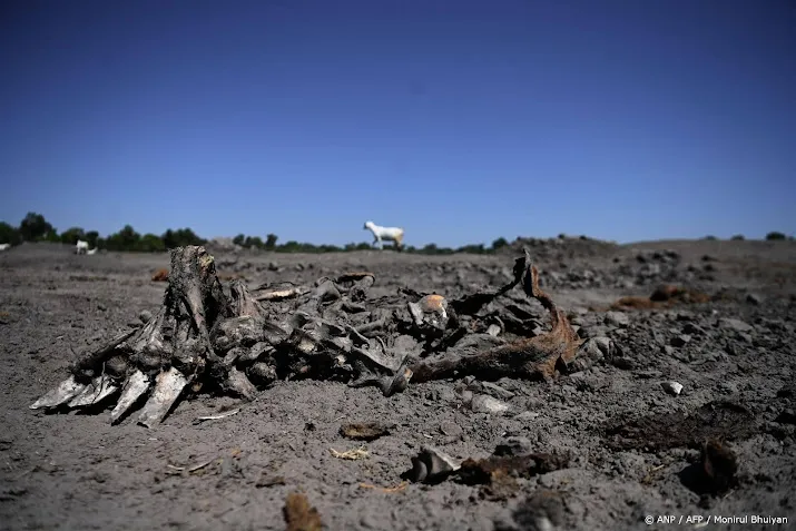 NieuwsNL | Actueel landelijk en lokaal nieuws